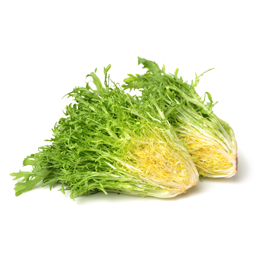 Indivia Riccia - Orto Pronto