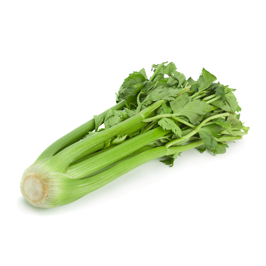 Sedano - Orto Pronto